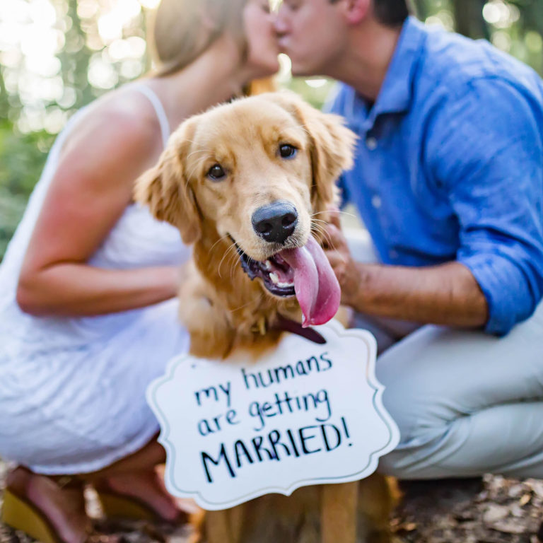 {Michael + Erin} An Engagement Story | JR Alford Greenway Tallahassee ...