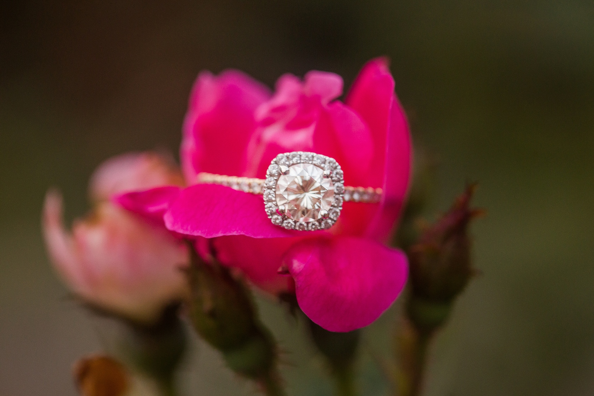 Downtown Tallahassee Engagement Session at Kleman's Plaza | Kara + Alan ...